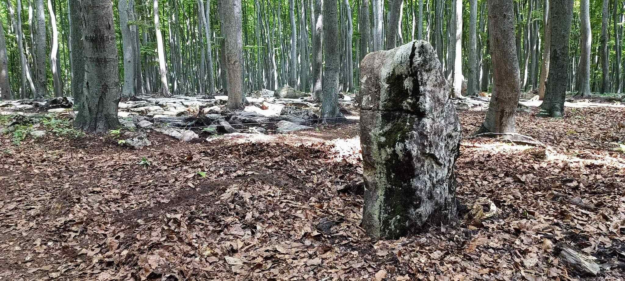 Unikalne pradawne megality na Bukowej Górze w woj. śląskim (GALERIA ...