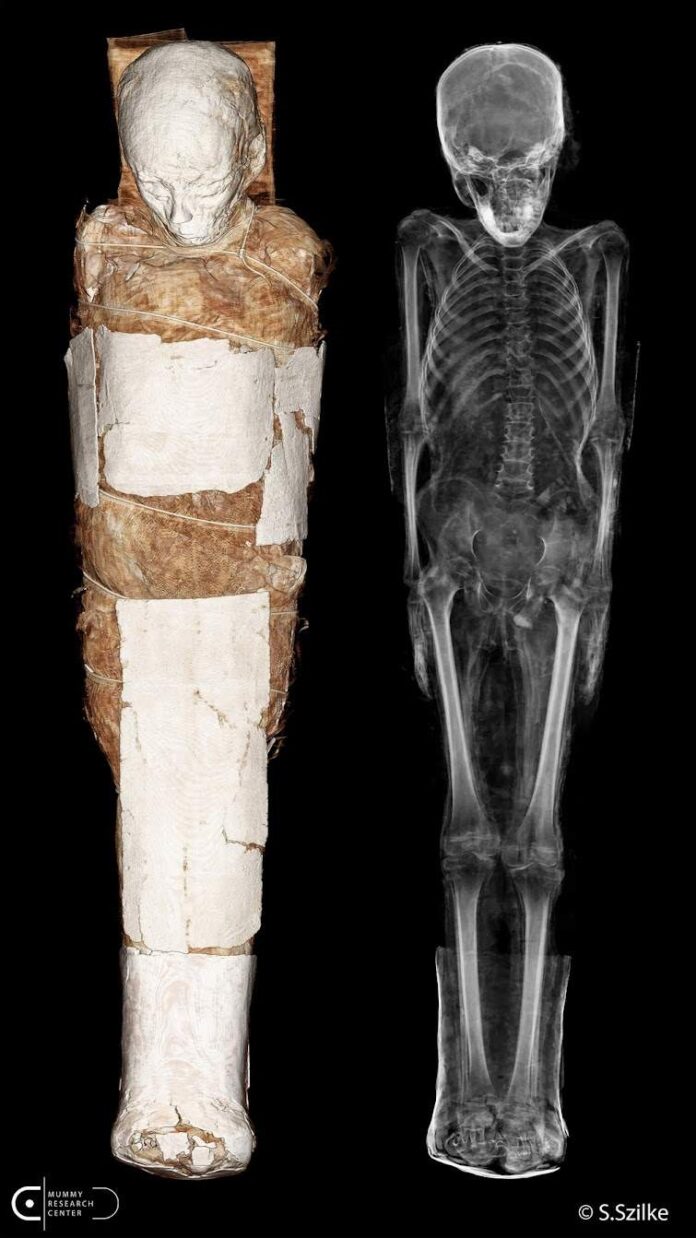 „Mumia Tajemniczej Damy” – wizualizacja, badania i nowe informacje ...