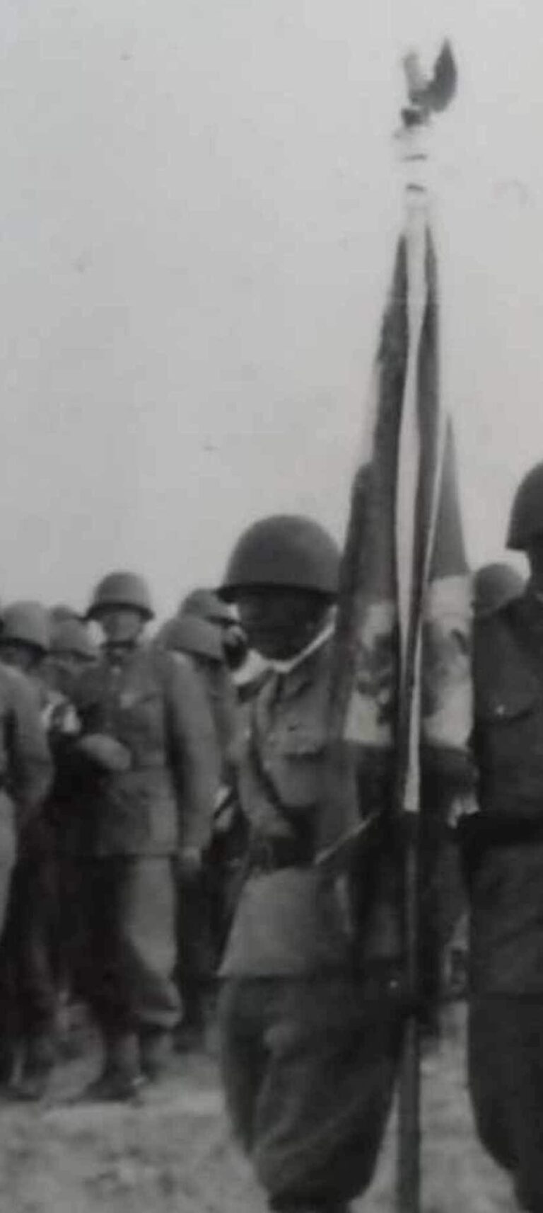 Zaginął w 39′ – sztandar 13 Pułku Piechoty z Pułtuska odnaleziony ...